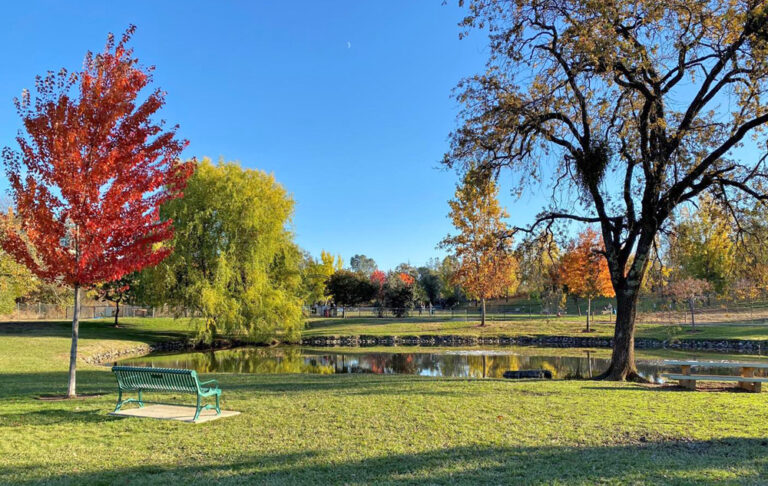 Ashford Park - Auburn Recreation District