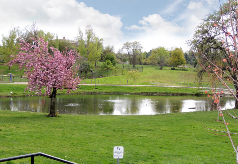 Ashford Park - Auburn Recreation District