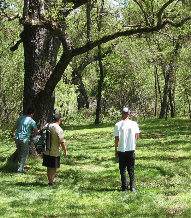 Disc Golf - Auburn Recreation District