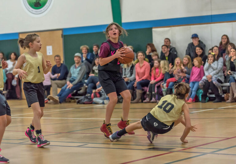 Youth Development Basketball (YDL) - Auburn Recreation District
